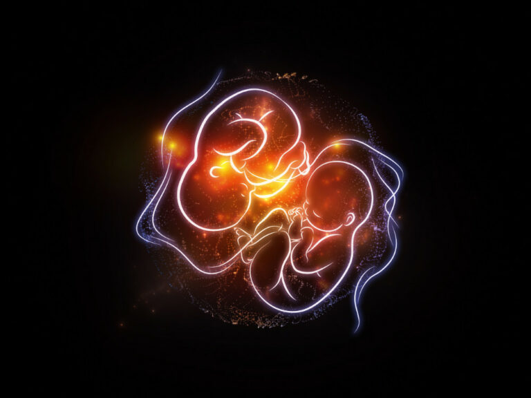 When Is Your Soul Created? | Simply Catholic