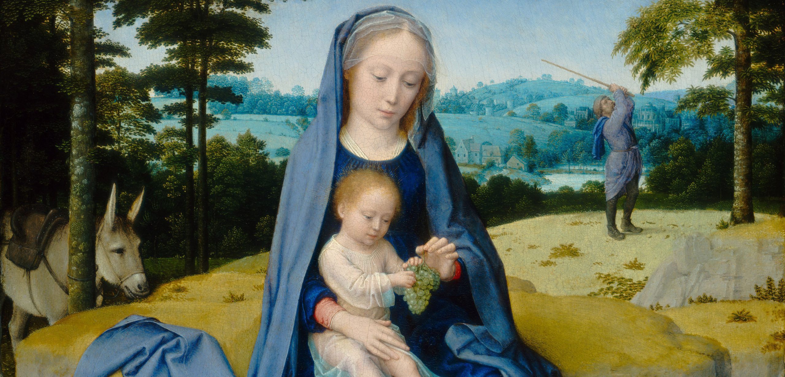 What is the Immaculate Conception of Mary? | Simply Catholic