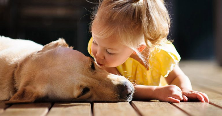 Understanding Predestination Properly | Simply Catholic