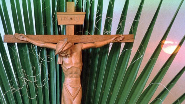 Purple Cloth Coverings | Simply Catholic